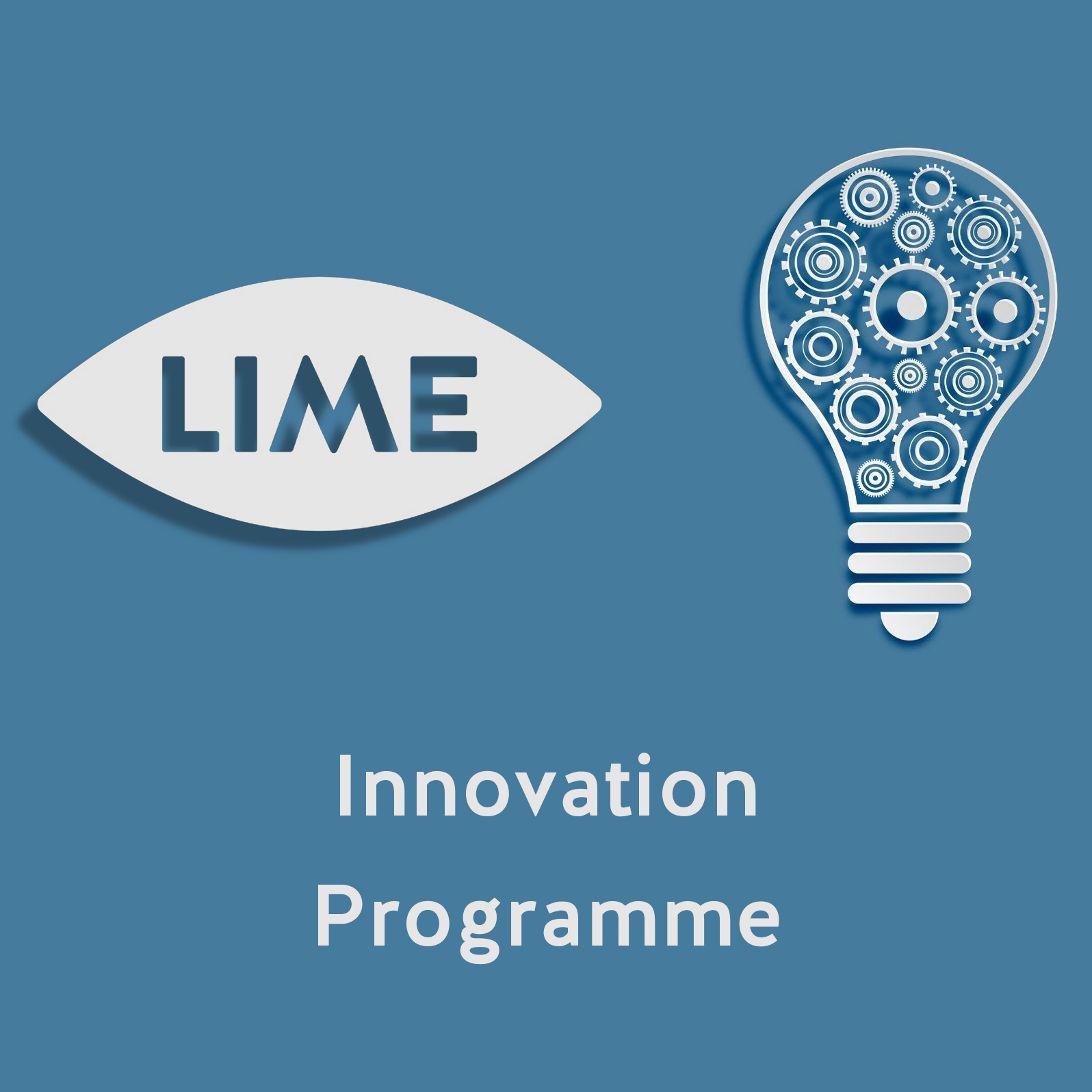 Innovation Programme - Lime